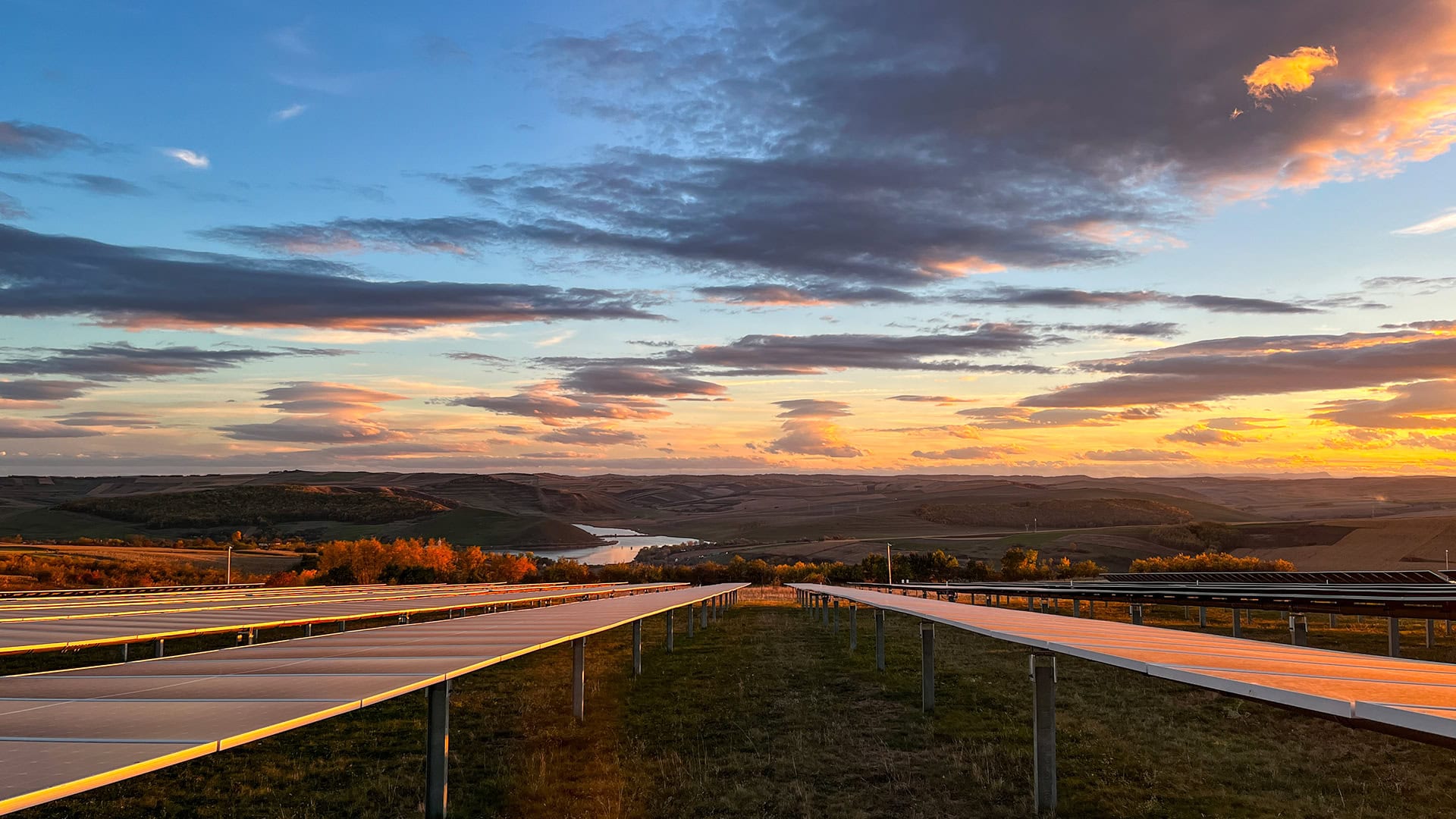 Renalfa cumpără un proiect fotovoltaic de mari dimensiuni în Teleorman ...